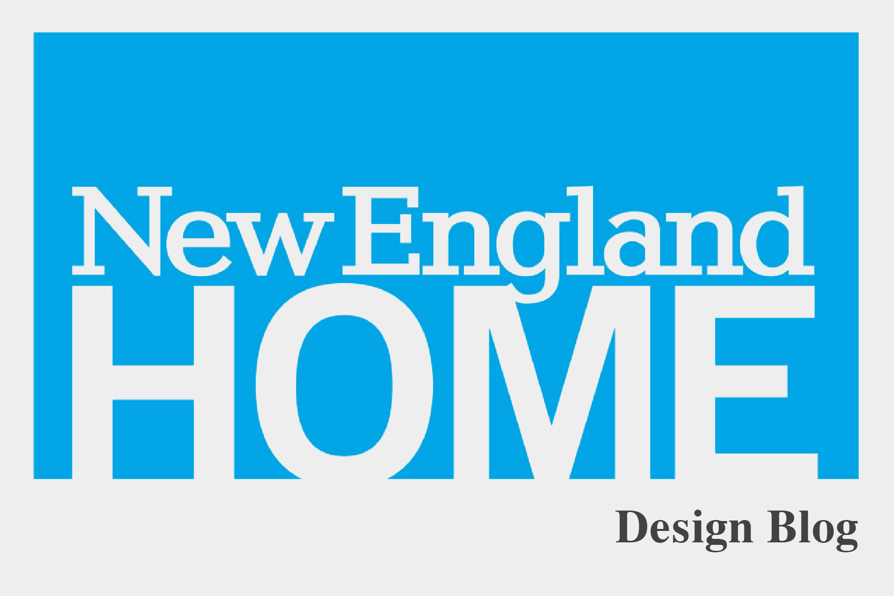 New England Home Design Blog, Designer Snapshot: Raise High the Roof ...